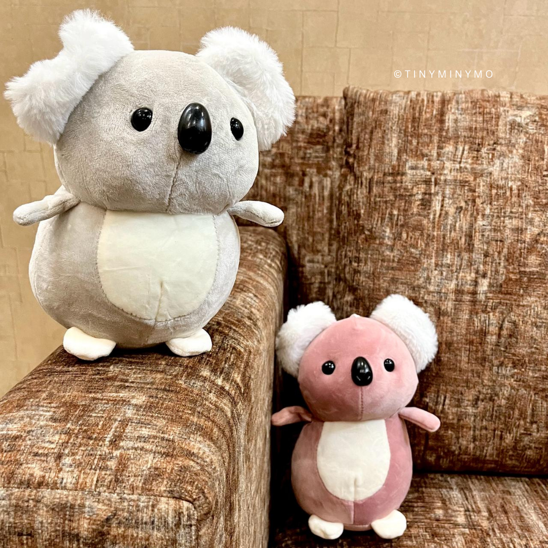 Little Koala Bear Soft Toy Online in India