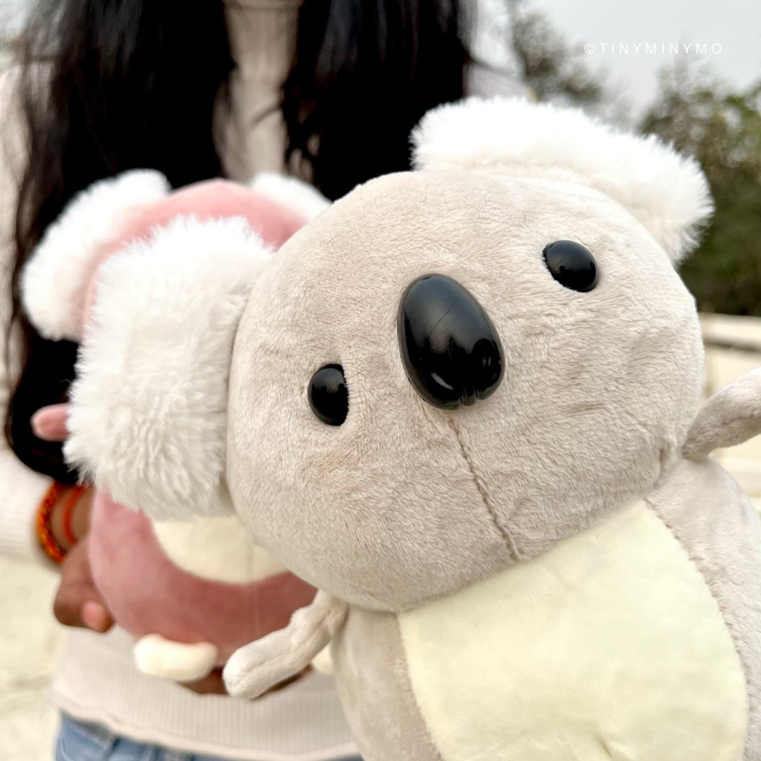 Little Koala Bear Soft Toy Online in India